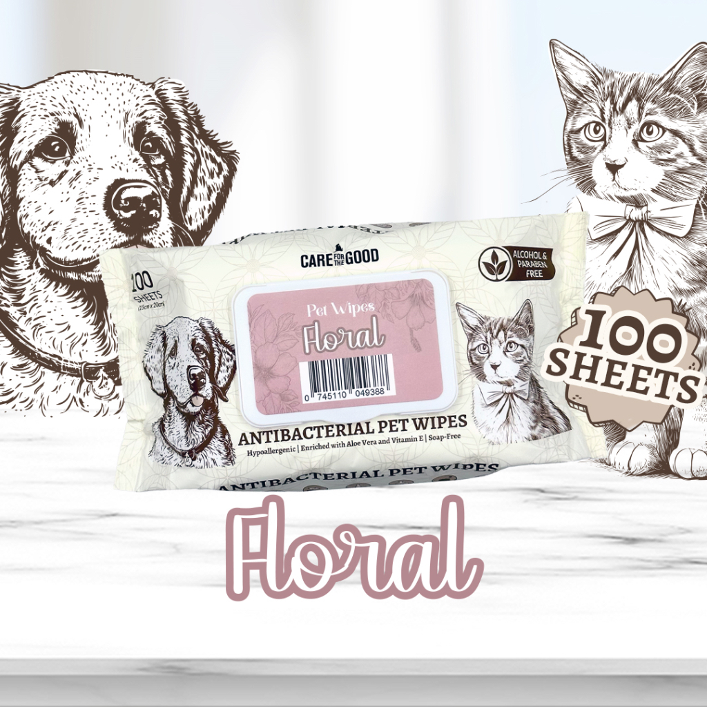 Care For The Good | CFTG - Antibacterial Pet Wipes 100pc for Cats, Dogs ...