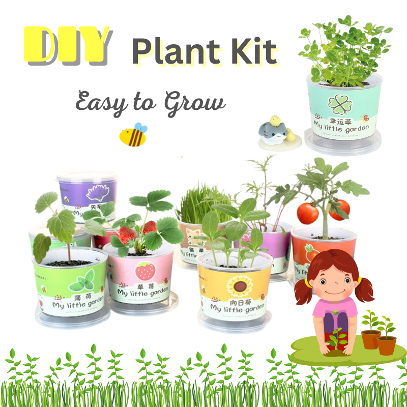 SG Local DIY Mini Plant Kit for Kids My Little Garden Series Easy to ...