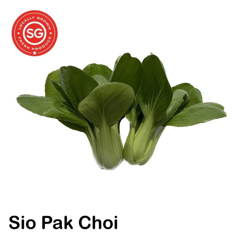 Sio Pak Chye(1kg) | Shopee Singapore