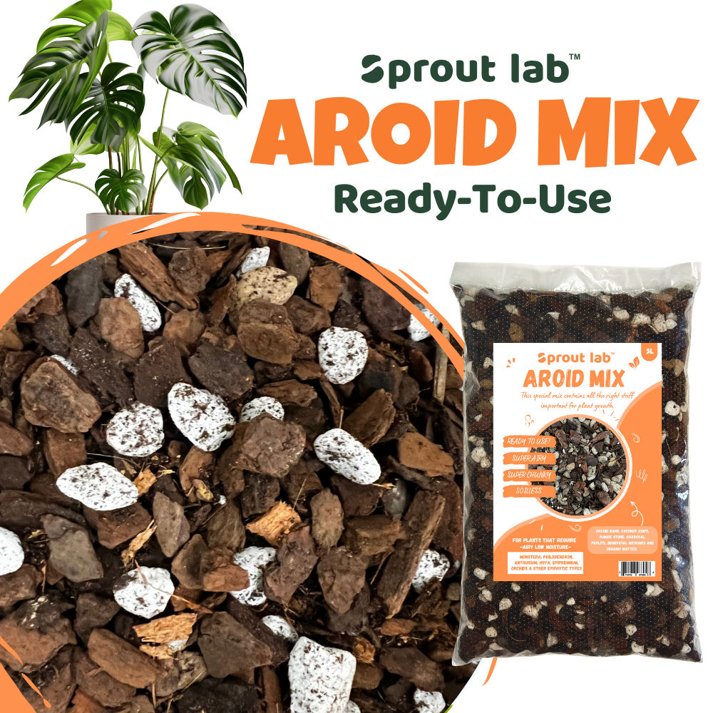 Sprout lab | AROID MIX 5L - For Houseplants: Monstera, Philodendron ...