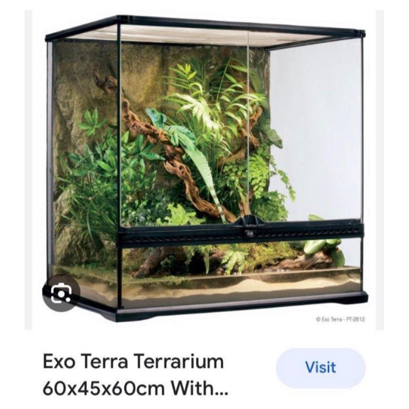 Exo Terra Terrarium 60x45x60cm With Background Tall 24x18x24” | Shopee ...