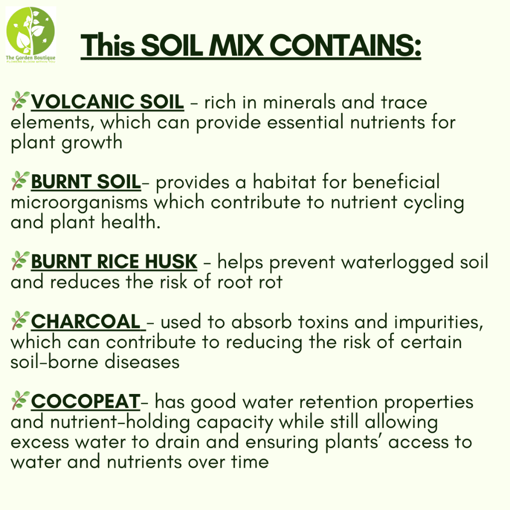 [Local Seller] Volcanic Soil + 4 Soilmix for Flowers/Vegetables/Herbs ...