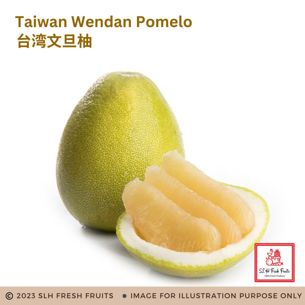 SLH Taiwan Wendan Pomelo 台湾文旦柚 (400g) | Shopee Singapore