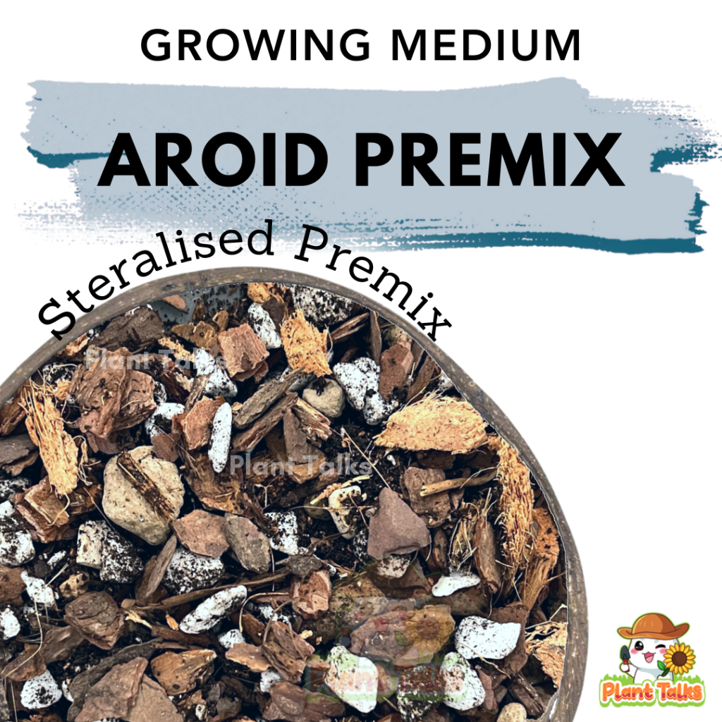 Plant Talks Aroid Soil Premix for Aroid and House Plants Monstera ...