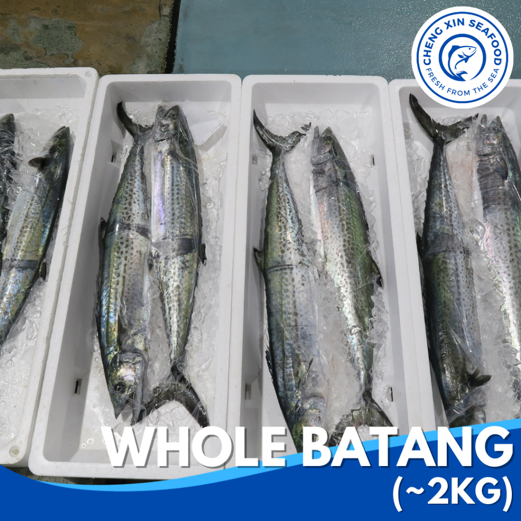 [Cheng Xin Seafood] Whole Batang Fish 巴当鱼(2kg-2.5kg) | Shopee Singapore