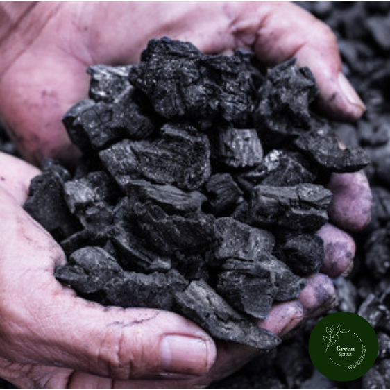 Charcoal Activated Carbon Filter Media By Green Sprout 5 Litres (Approx ...