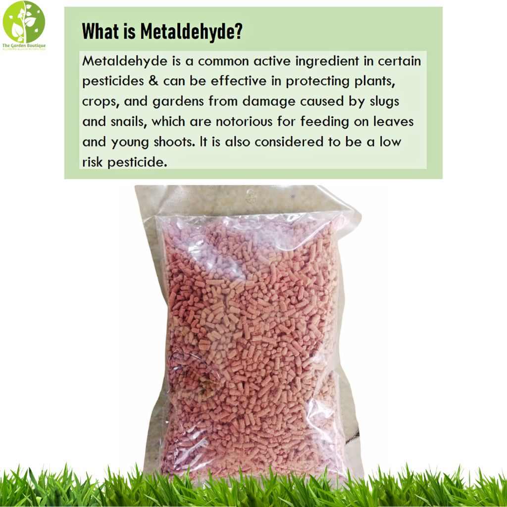 [Local Seller] New Eastern Snailor - Pellet Slug & Snail Killer ...