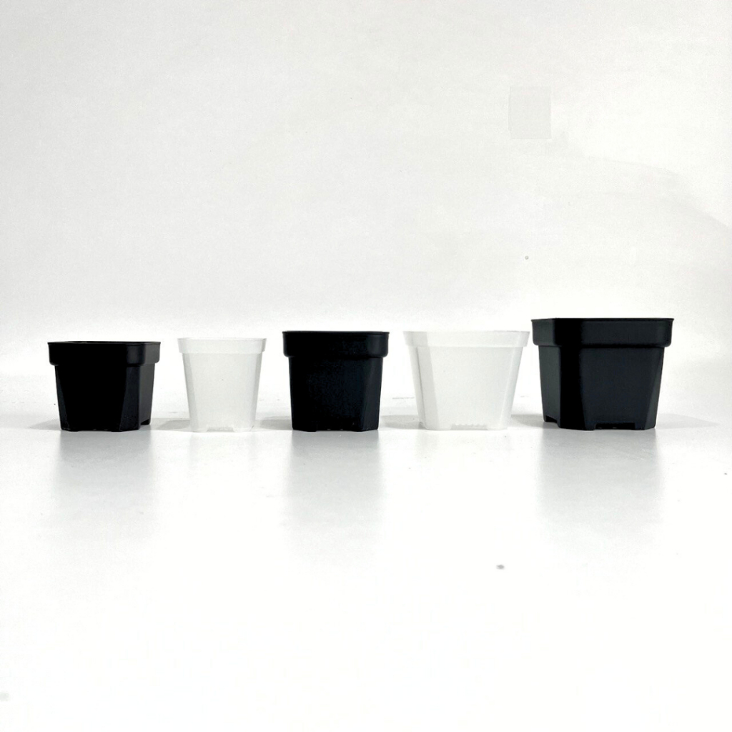 [SG READY] Bundle of 5/10 Heavy Duty Succulent Nursery Plastic Plant ...