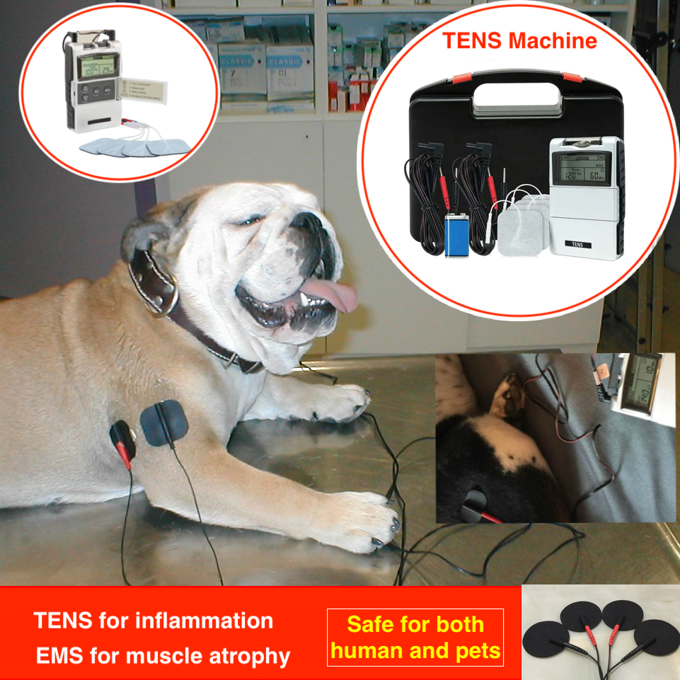 TENS MACHINE COMBO TENS EMS Unit-Pain Relief Nerve Muscle Stimulation ...