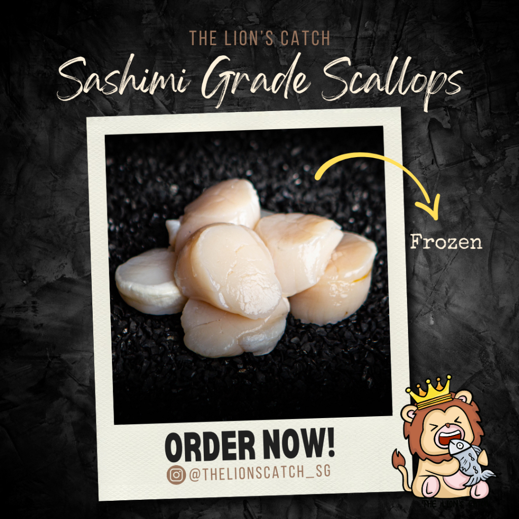 SASHIMI GRADE SCALLOPS (FROZEN) | Shopee Singapore