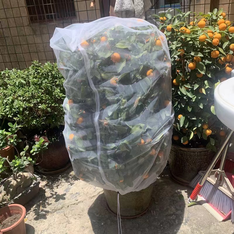[SG] Plant Cover Net Garden Bug Netting Anti-UV Fruits And Trees ...