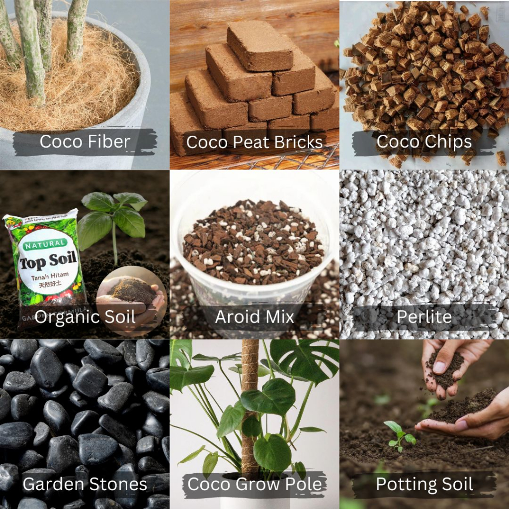 (SG Stock) Coco Peat Coconut Husk Fiber Coir Garden Soil Perlite ...