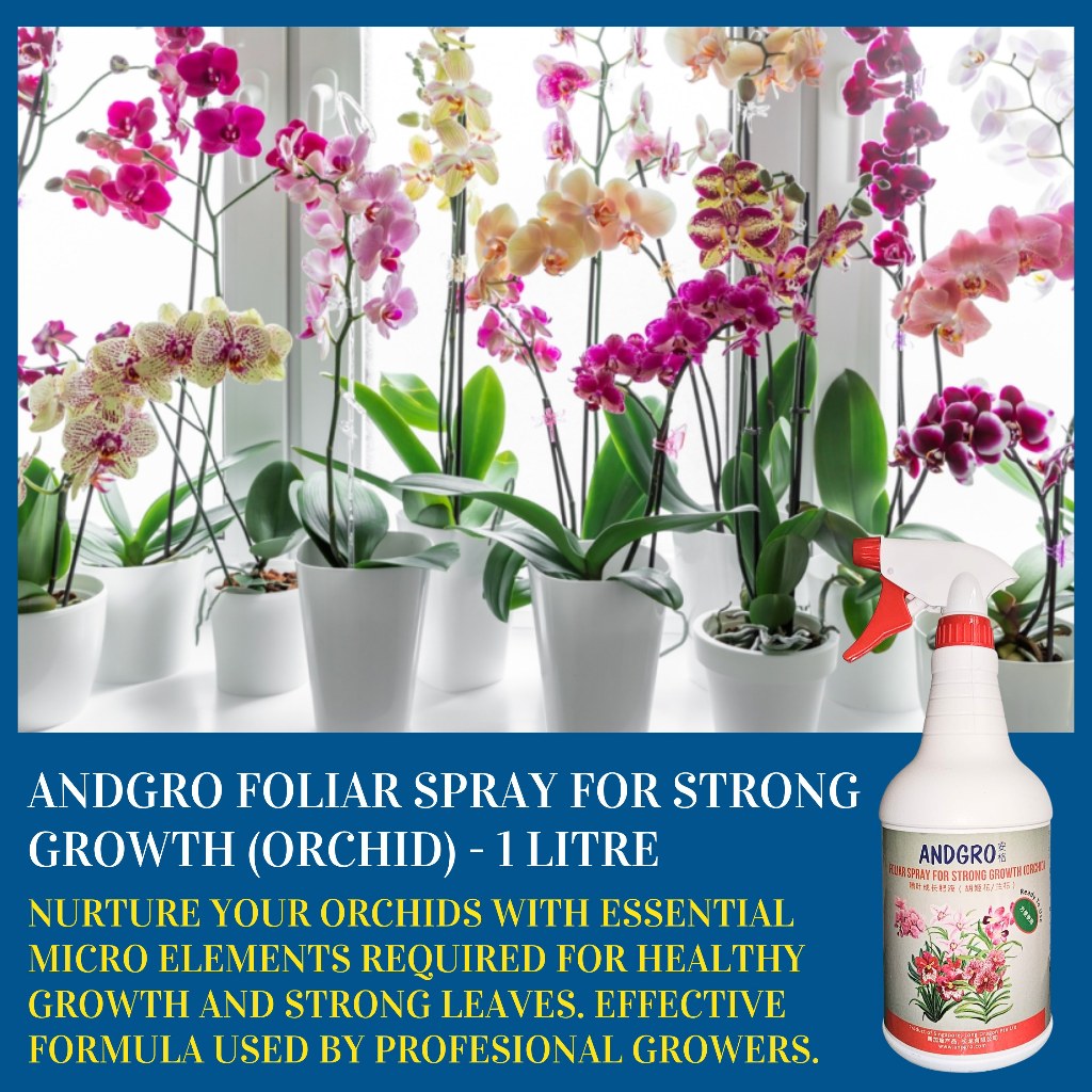 ANDGRO Foliar Spray for Strong Growth - Orchid (1000ml) | Shopee Singapore
