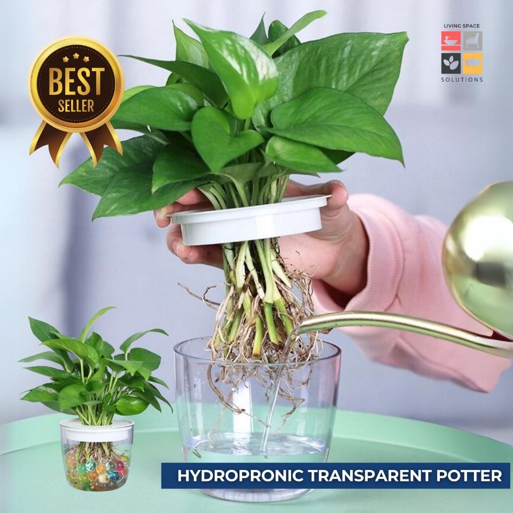 [SG Seller] Transparent Hydroponic Flower Pot soilless ready stock fast ...