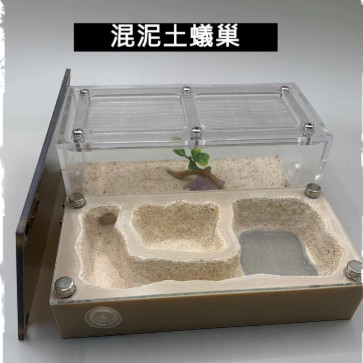 Ant Nest; Large Flat Built-In Water Humidity; Expandable | Shopee Singapore