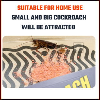 [Bundle Sales] [ New Packaging] ONS Lizard And Cockroach Trap/Lizard ...