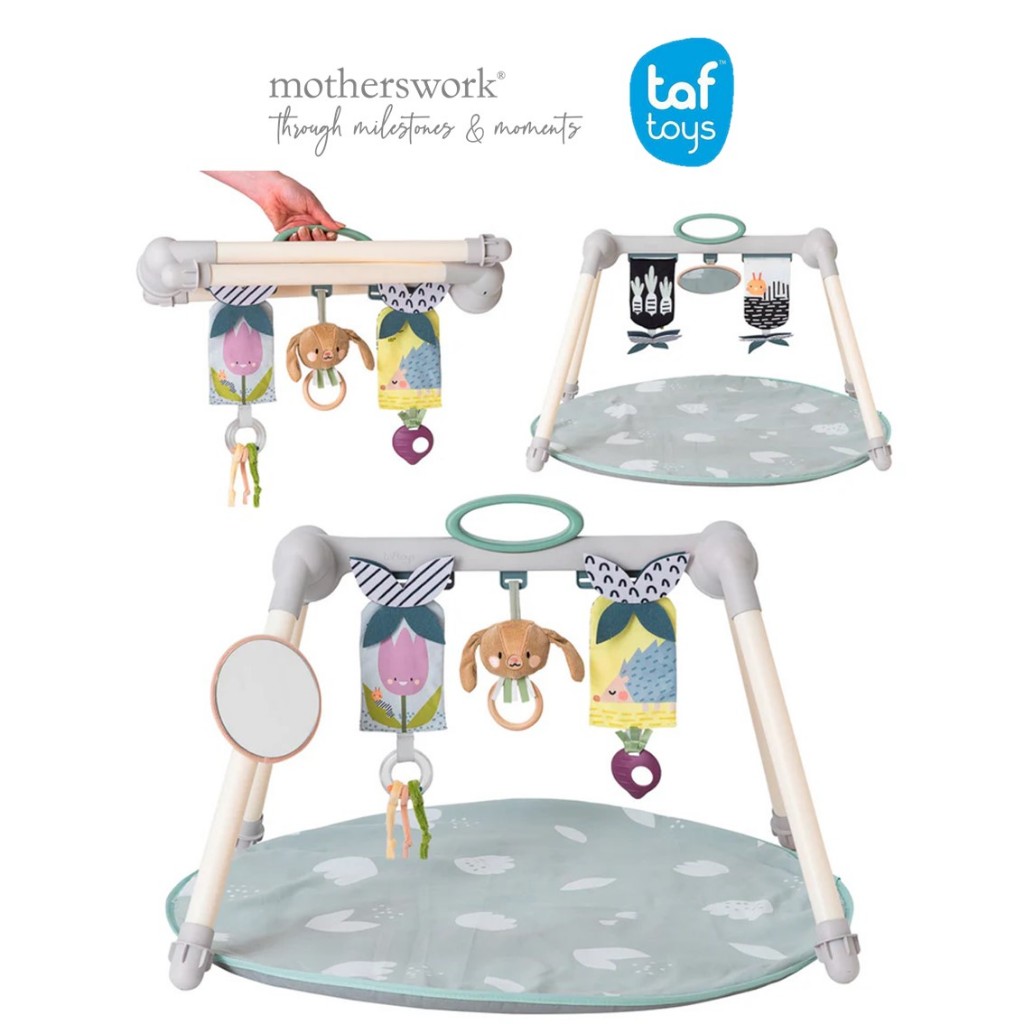 Taf Toys Urban Garden Foldable Gym | Shopee Singapore