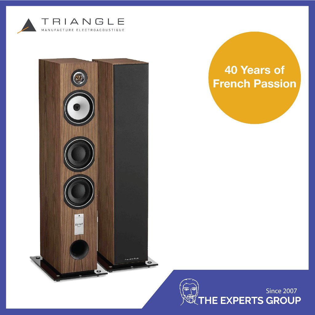 Triangle Esprit Ez Antal Hi-Fi Home Theatre Floor Standing Speaker (Pair / 2 Speakers) | Shopee ...