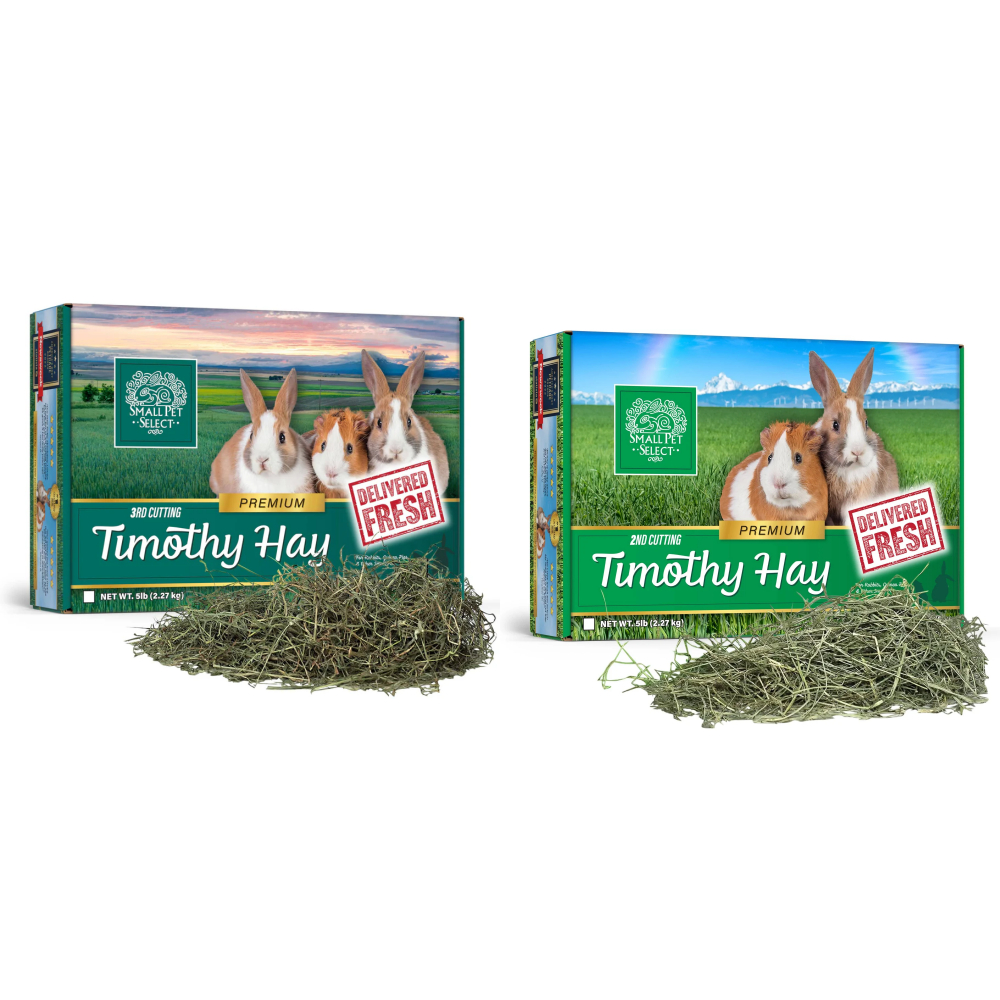 Small Pet Select SPS 2nd Second Cut & 3rd Third Cut Hay Bundle (2 x ...