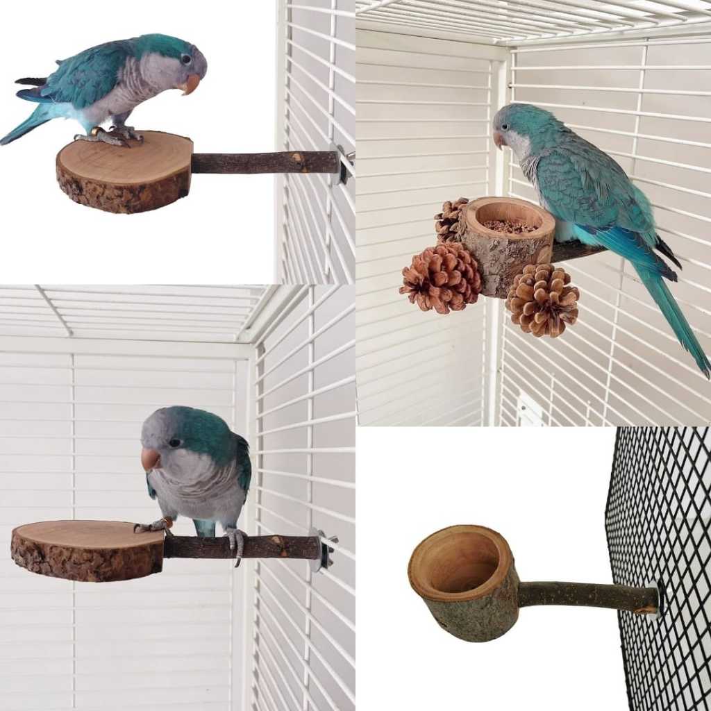 Parrot Apple Wooden Food Bowl | Log Bird Stand Pole | Stand Chewing ...