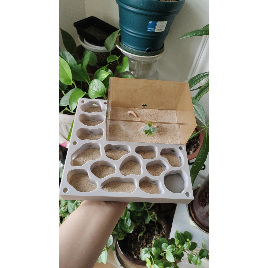 Ant Nest; Large Flat Nest (Entry Model); Built-In Water Humidity ...