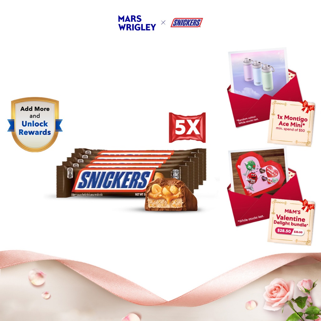 Snickers Peanut Chocolate Bundle 51g x 5 Chocolate / Crunchy / Party ...