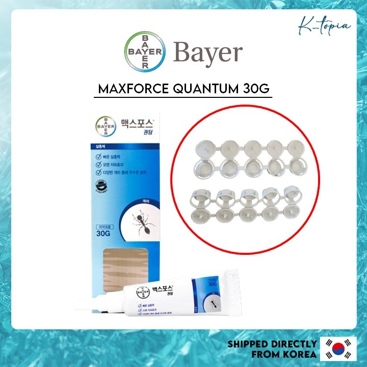 [BAYER] Maxforce Quantum 30g for Ants, Maxforce Easy Gel 20g for ...
