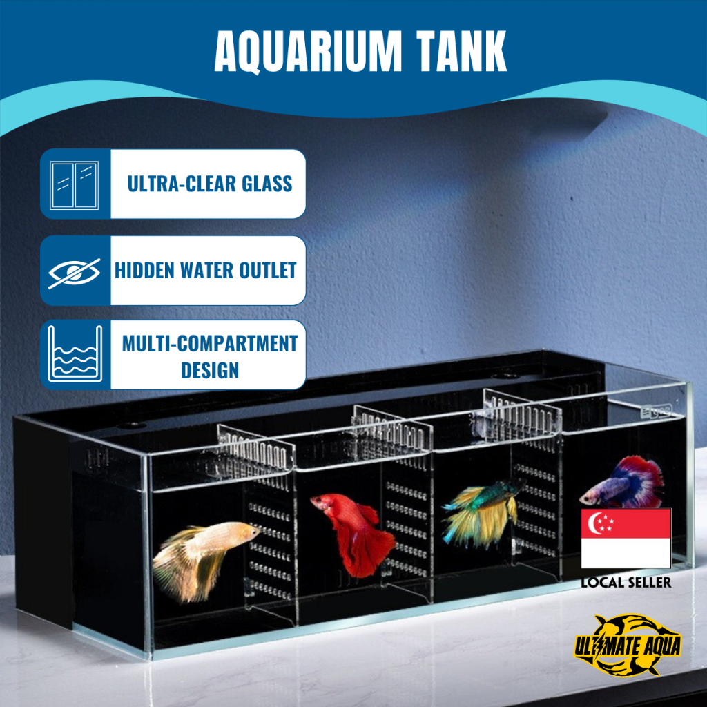 YEE Betta Fish Tank, Ultra-clear Glass And Multi-compartment With ...