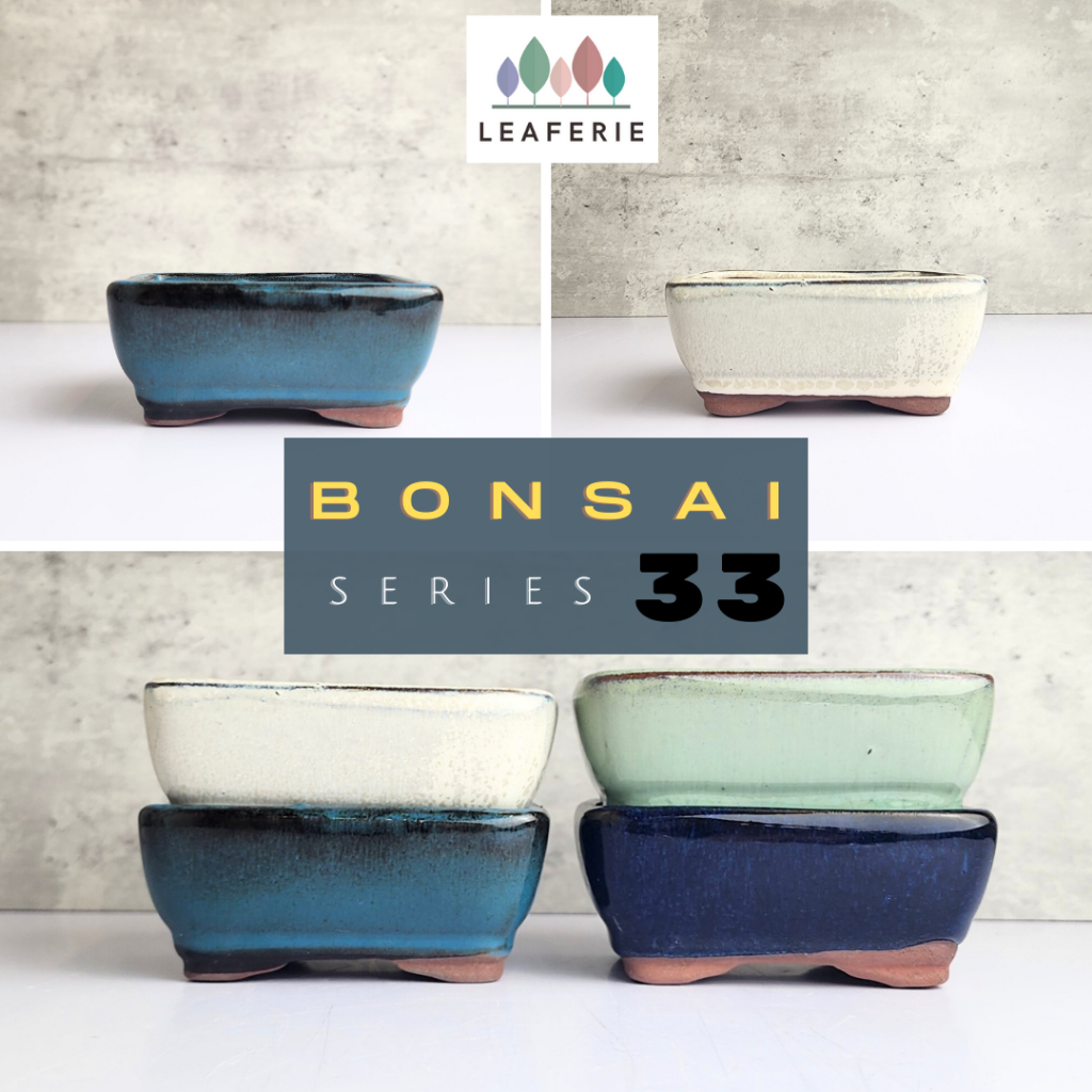 The Leaferie Bonsai Pot (Series 33) Rectangular Plant pot Rectangle ...