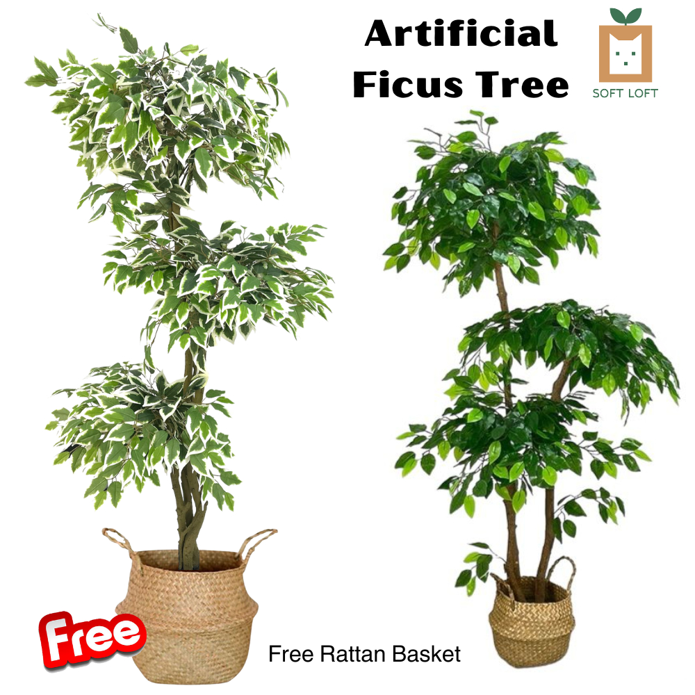 Large artificial plant Fake Plant Artificial Ficus Tree, 160cm Tall ...