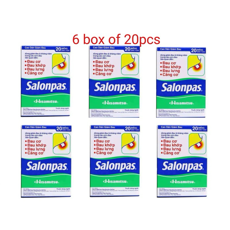 [Free Ship] 6 boxes x 20pcs Hisamitsu Salonpas Pain Relief Patch Koyo ...