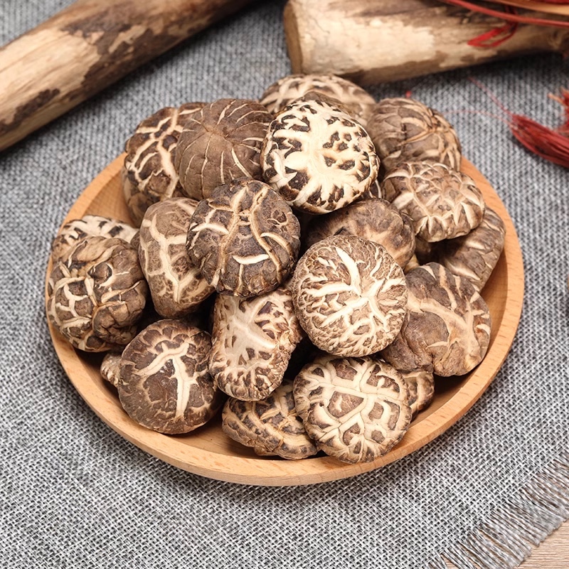 Improvelife shiitake -Tea Flower Mushroom 4cm-5cm | Shopee Singapore
