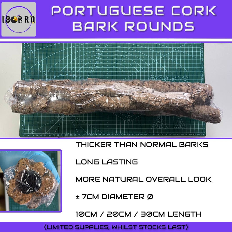 Portuguese Cork Bark Rounds — (Thicker than usual Cork Barks For Isopod ...