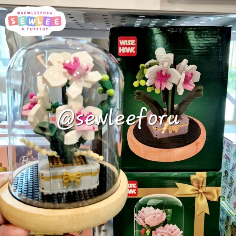 Mothers' Day, Fathers' Day, Grandparents' Day Gifts Idea (Orchid in Pot ...