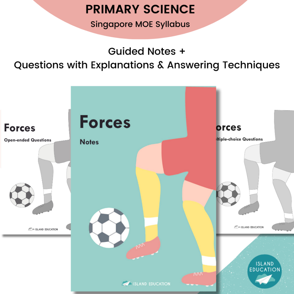 Primary 6 Science Topical Notes & Questions fr PSLE: Interaction of ...