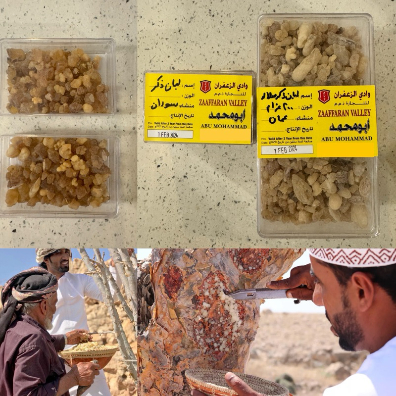 [SG SELLER] AUTHENTIC OMAN/SUDAN LUBAN KEMENYAN HOJARI FRANKINCENSE GUM ...