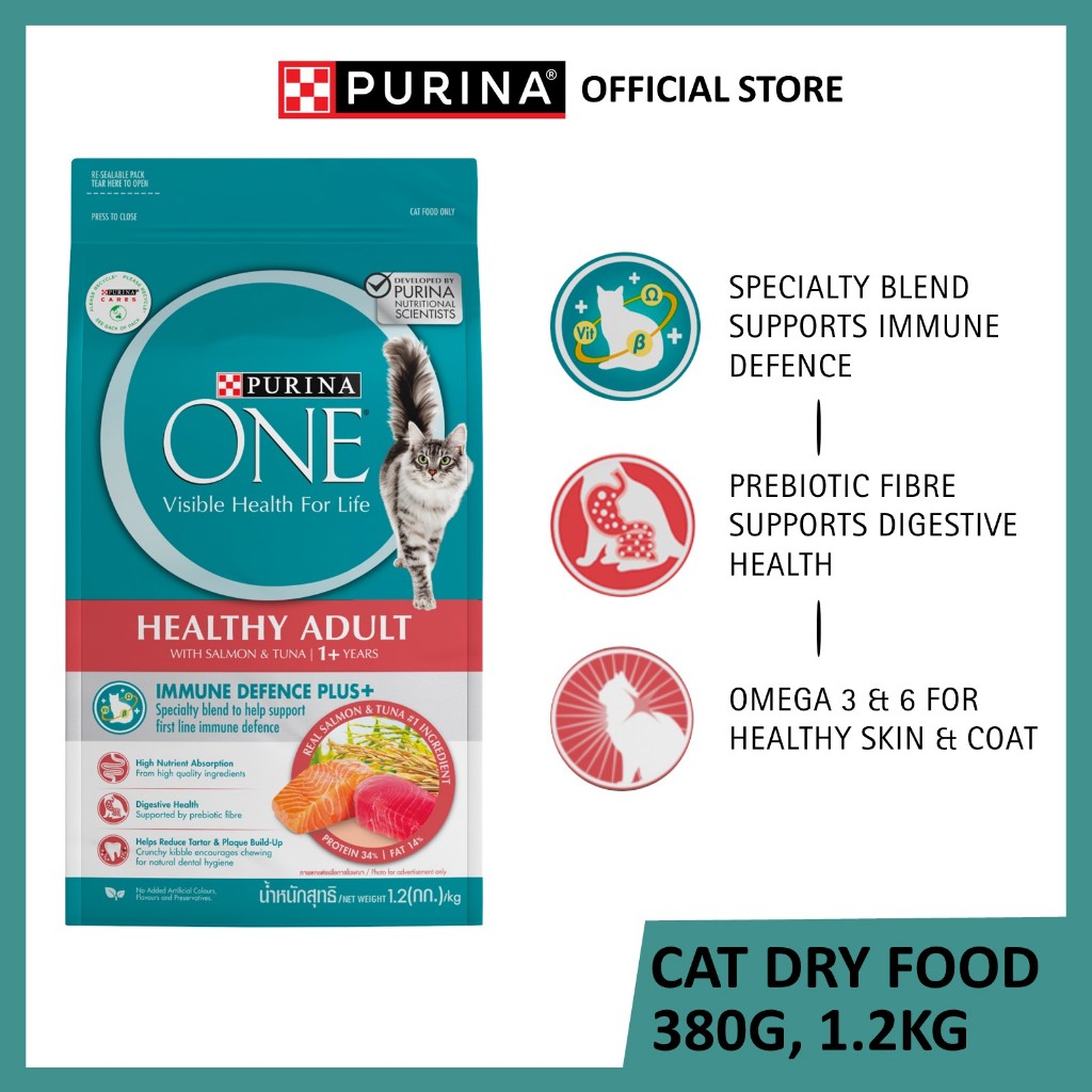 Purina ONE Healthy Adult Dry Cat Food 380g, 1.2kg | Shopee Singapore