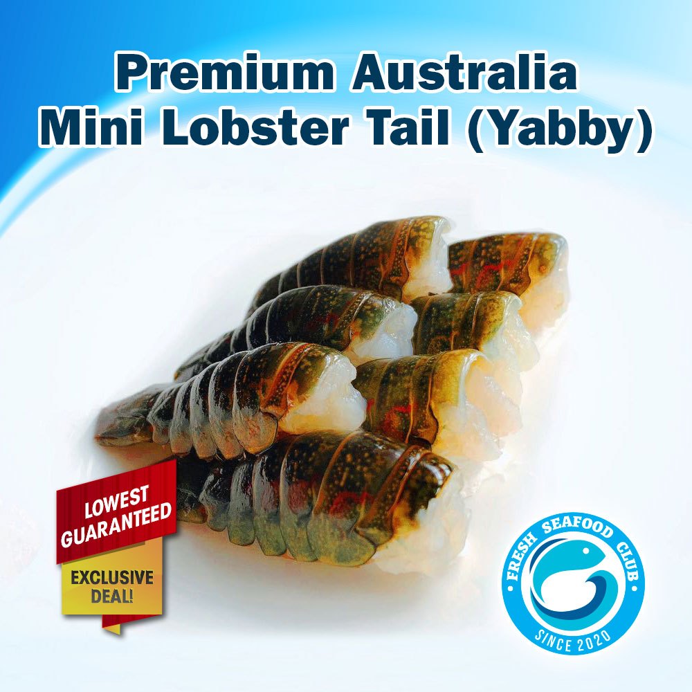 Premium Australia Mini Lobster Tail (Yabby) Gross Weight: 2 x 500g/box ...