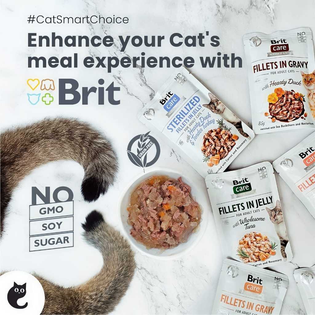 Brit Care Cat Fillets in Gravy & Jelly 85g (24 pouches) | Shopee Singapore