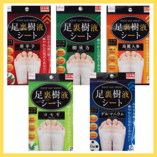 DAISO Foot Detox Sap Sheet 2 pcs Set [Mugwort/Sap Power/Ginseng/Red ...