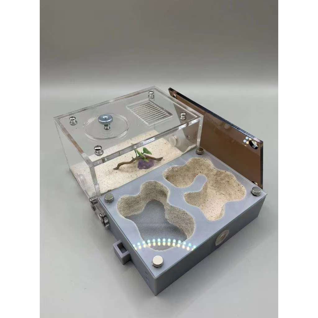 Ant Nest; Medium Flat Nest (Expendable); Built-In Water Humidity ...