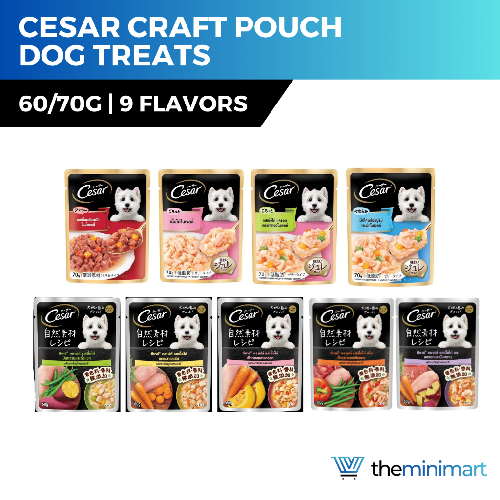 Cesar Dog Food Pouch - Chicken & Veggie Blend, Wet Food, 60g/70g ...
