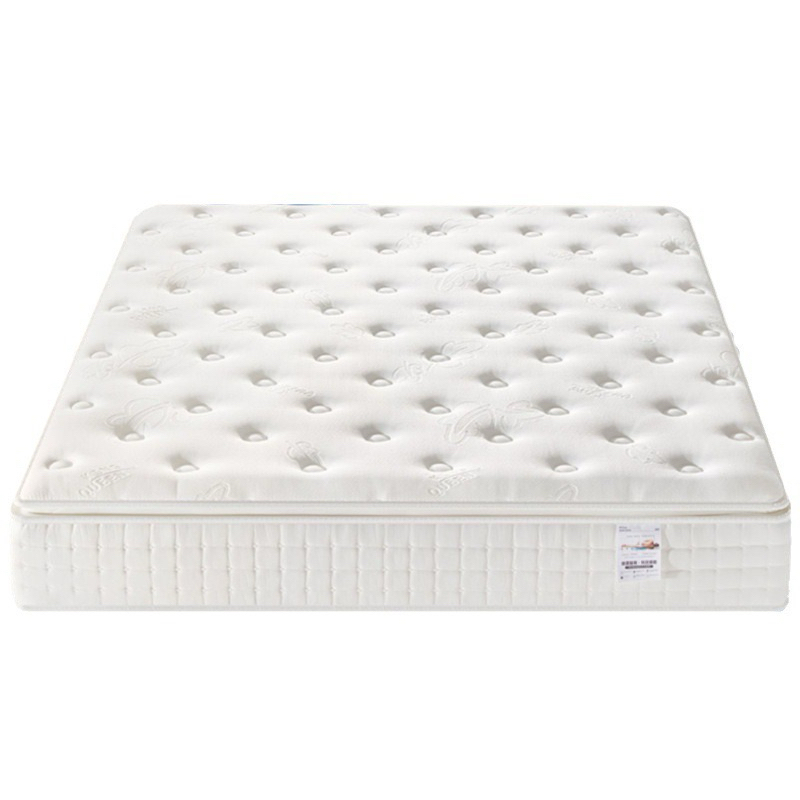 [SG Seller] DreamWorks Silent Independent Spring Memory Foam Latex ...