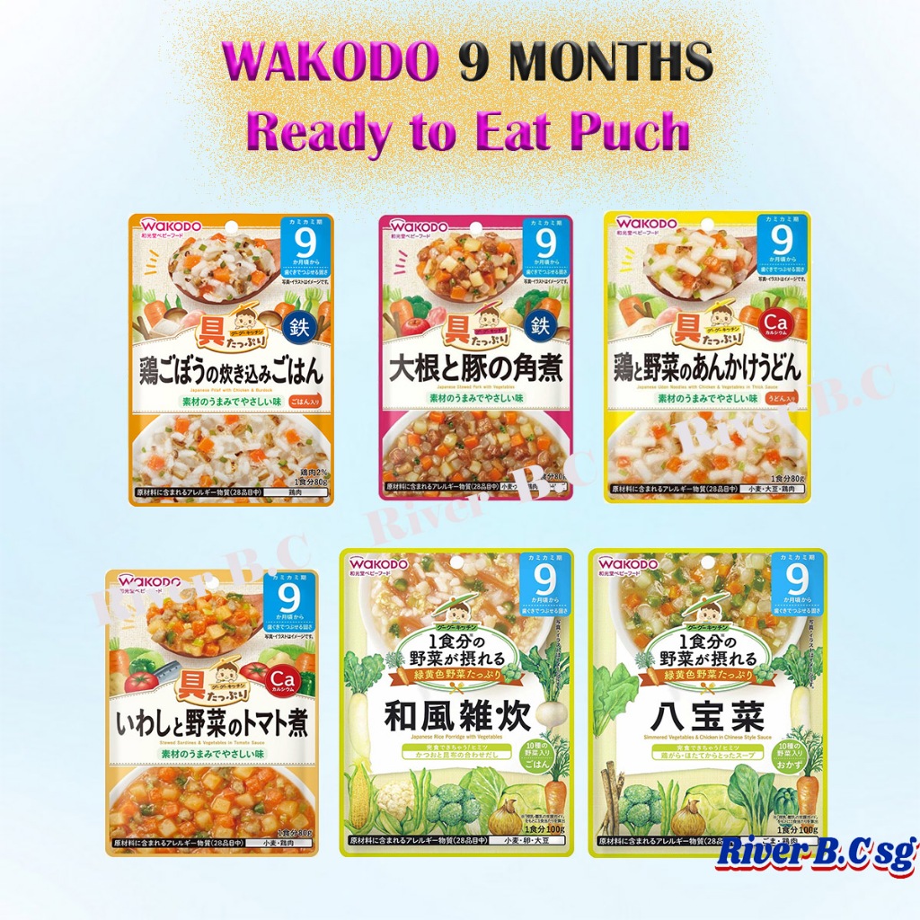 WAKODO BIG JAPAN - INSTANT FOOD POUCH / BABY / TODDLERS - 9 Months ...