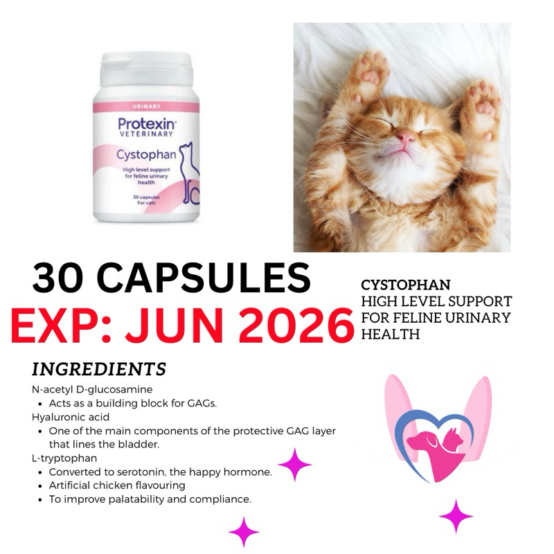 Protexin Cystophan Cat Feline Urinary Health (30 capsules) | Shopee ...