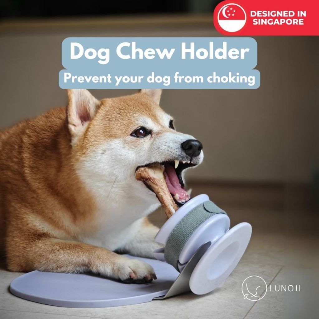 Lunoji CHEWDEN Grip Dog Chew Holder | Prevent Choking, Safer and ...