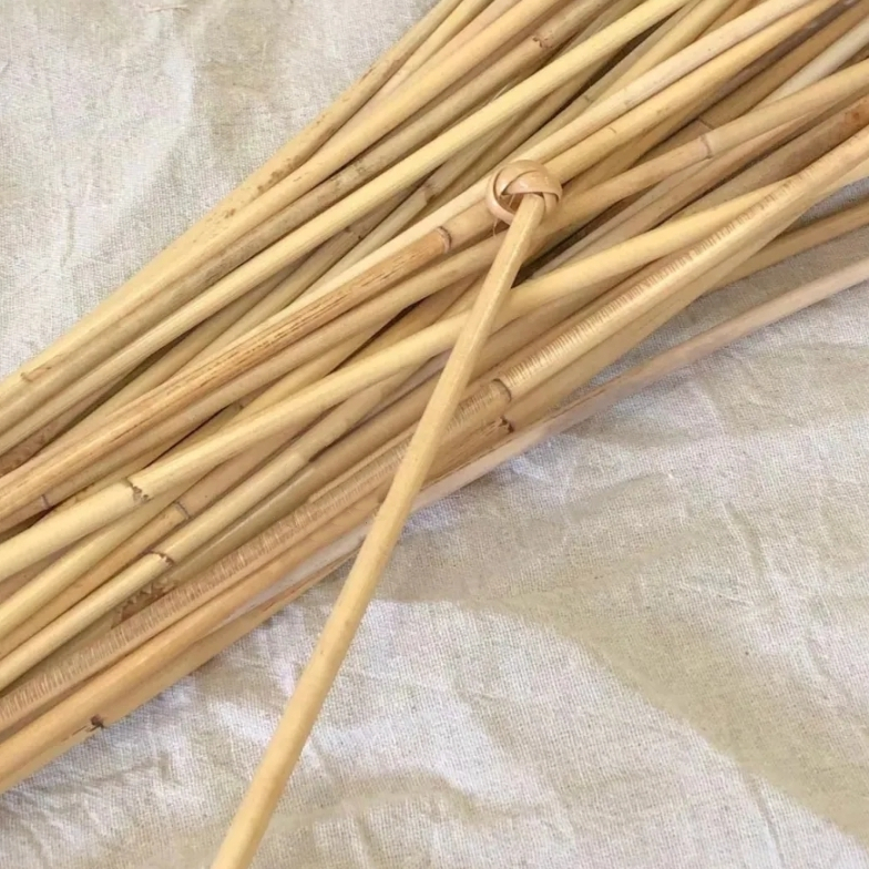 Sega Rattan Stick Cane Children Study Homework Tough Love Rotan 藤条 70cm ...