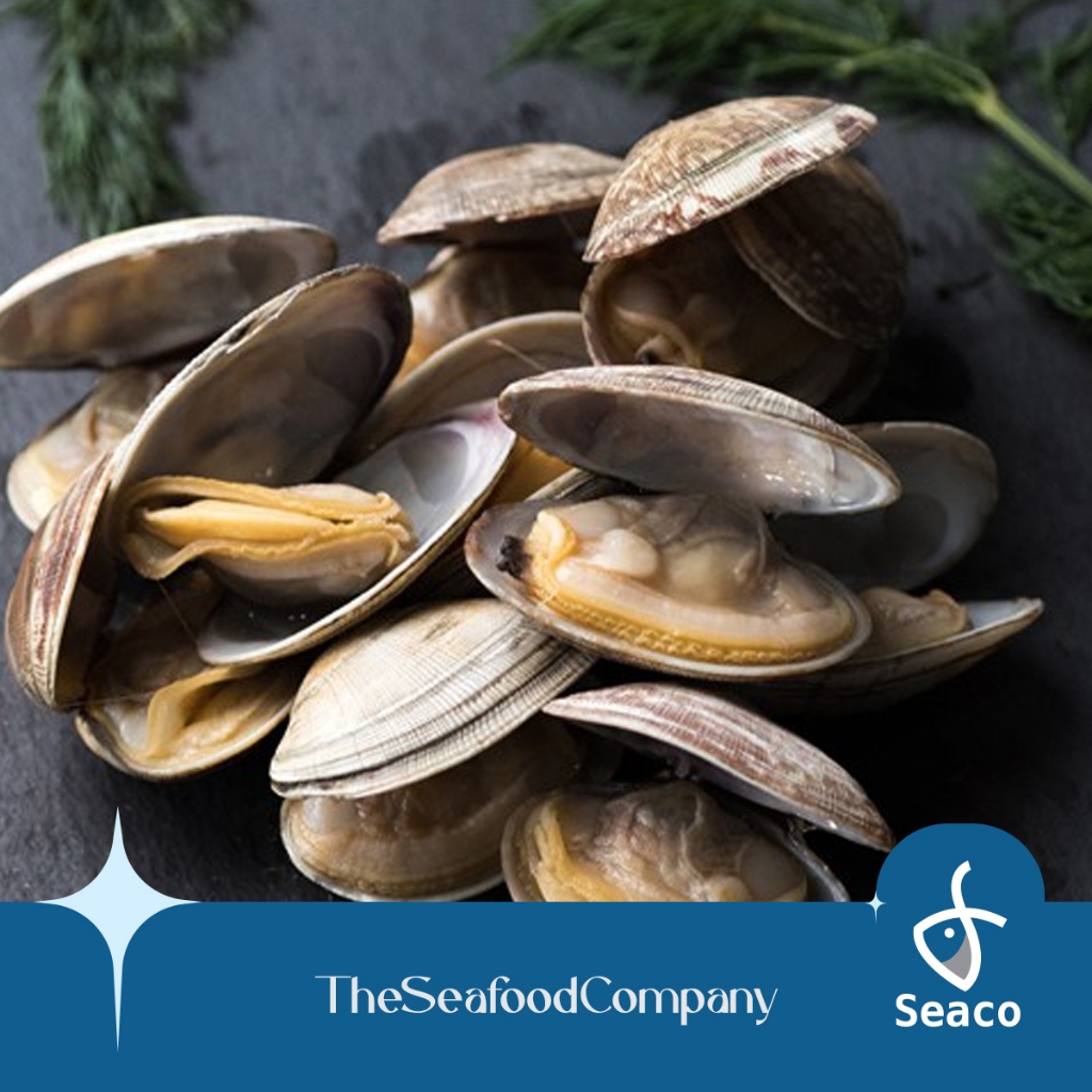 [Seaco] Cooked Short Neck Clam (20-30) 500g | Shopee Singapore