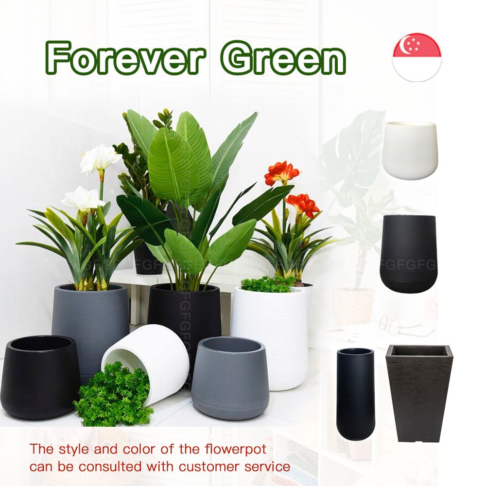 ForeverGreen PVC Plant Tall Pot Slim Pot Black Gold White Flower Pot ...