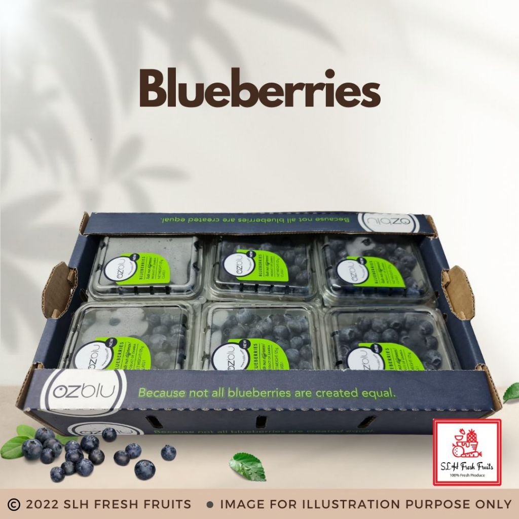SLH Blueberries 蓝莓 Carton Sale(125g x 12 punnets) | Shopee Singapore